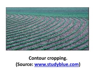 Principle of erosion control- Introduction to contouring,strip cropping ...