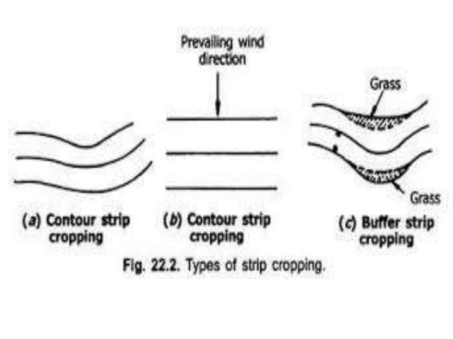 Principle of erosion control- Introduction to contouring,strip cropping ...