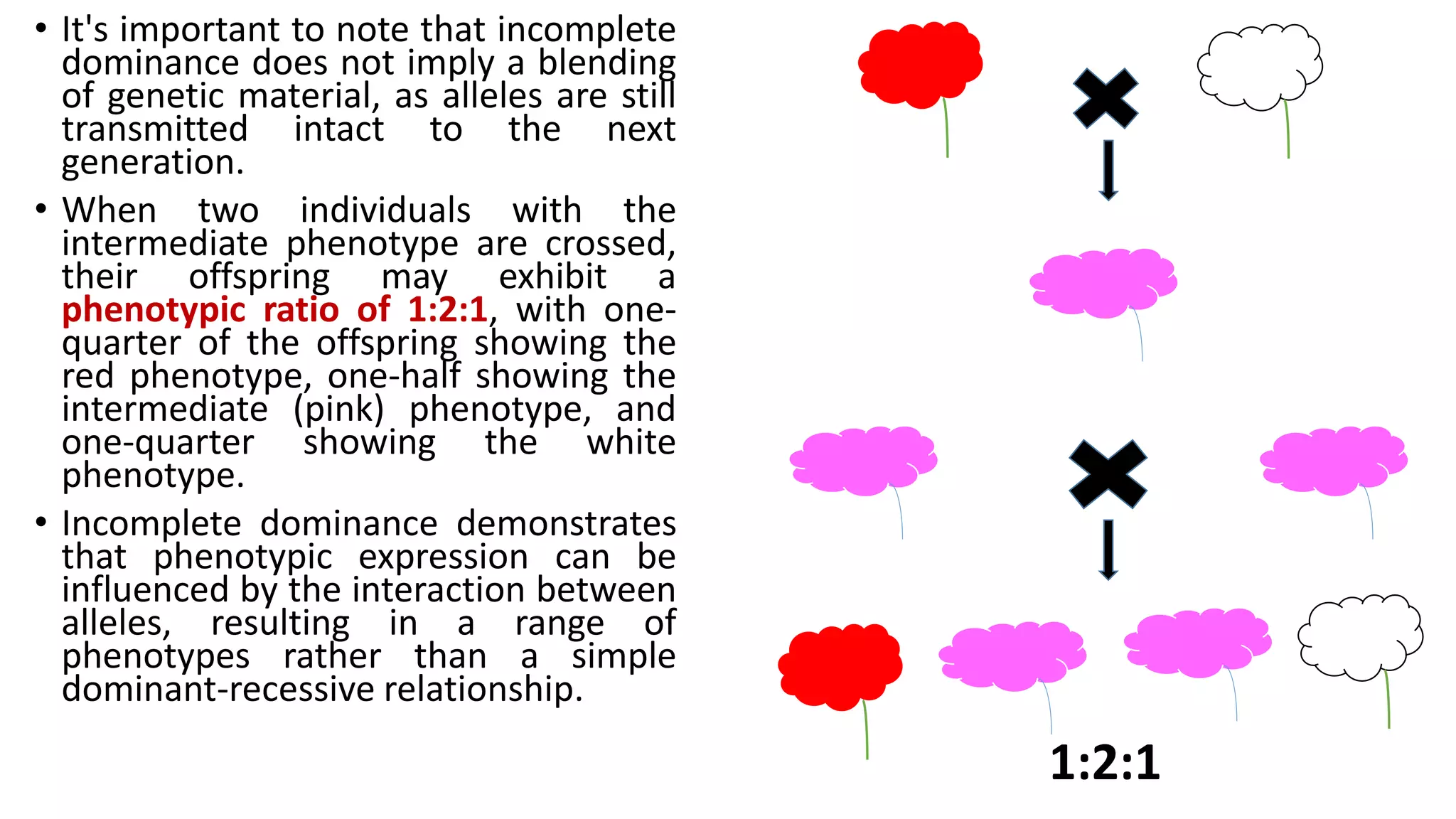 Principle of Genetics.pptx