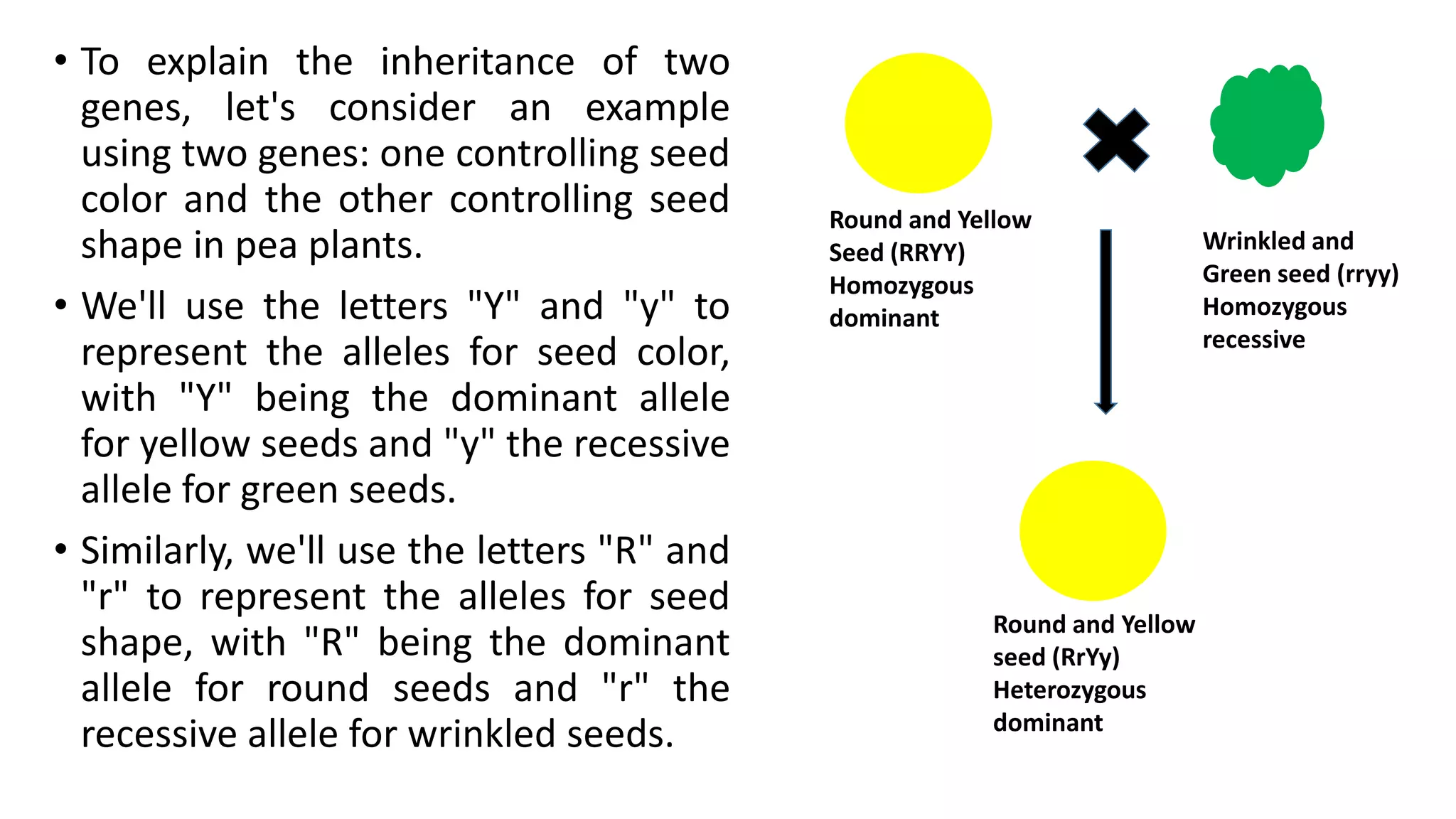 Principle of Genetics.pptx
