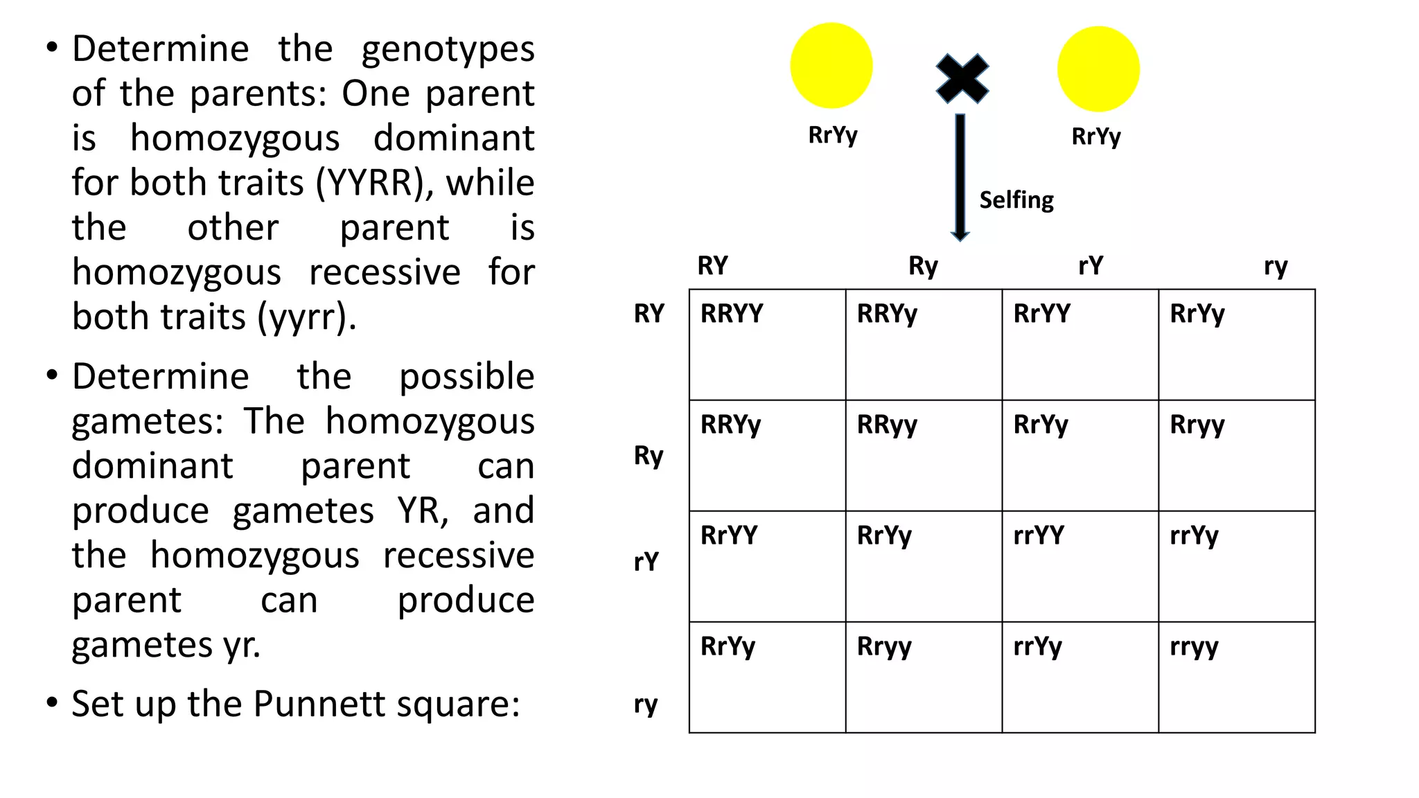 Principle of Genetics.pptx