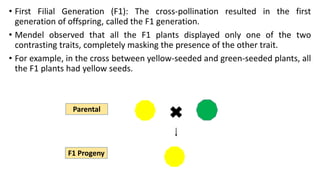 Principle of Genetics.pptx