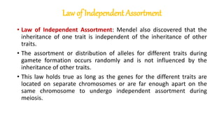 Principle of Genetics.pptx