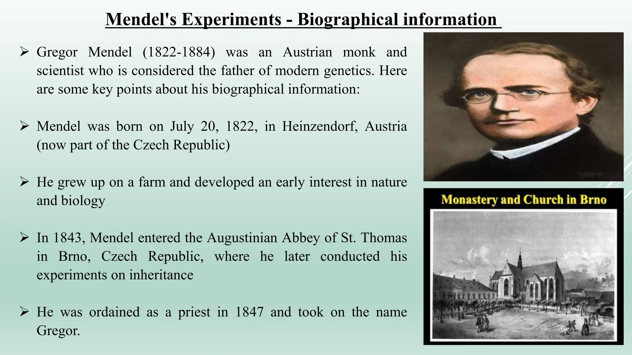Mendel's Experiments - Biographical information, Pea experiments | PPT