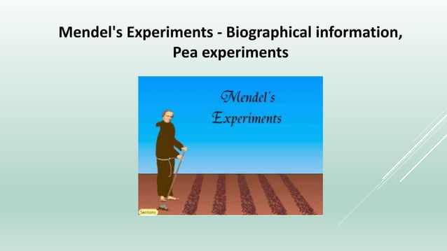 Mendel's Experiments - Biographical information, Pea experiments | PPT
