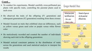 Mendel's Experiments - Biographical information, Pea experiments | PPT