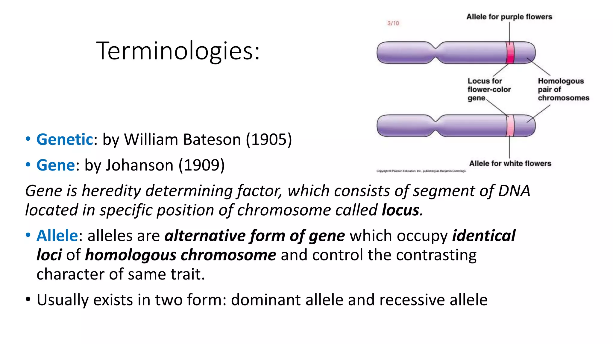 introduction to genetics | PPTX