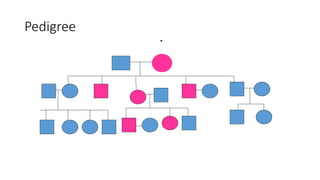introduction to genetics | PPTX