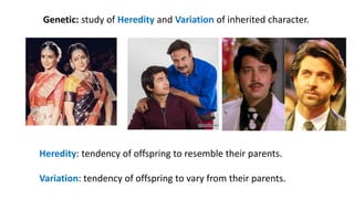 introduction to genetics | PPTX