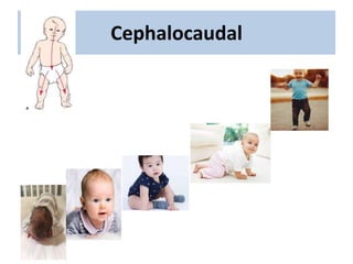 Principle of Pediatric Growth and Development.pptx