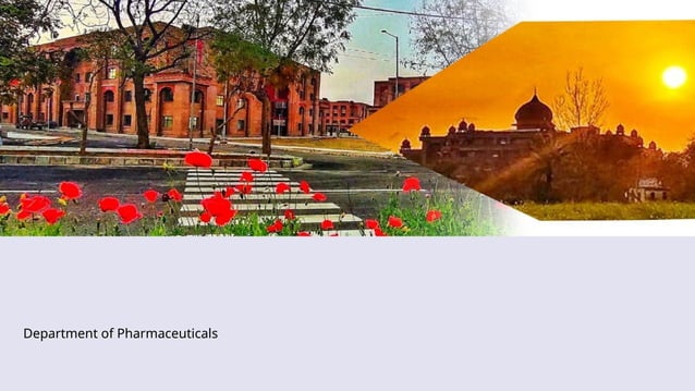 PRINCIPLE OF IMMUNOASSAY AND RIA - Yogesh (2).pptx