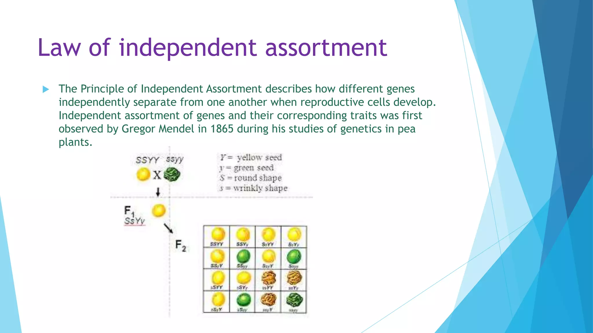 Principle of inheritance | PPTX | Genetics | Science