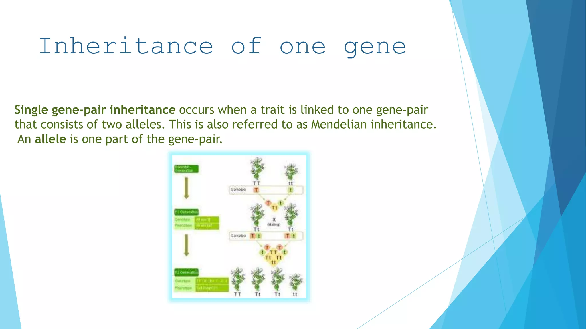 Principle of inheritance | PPTX | Genetics | Science