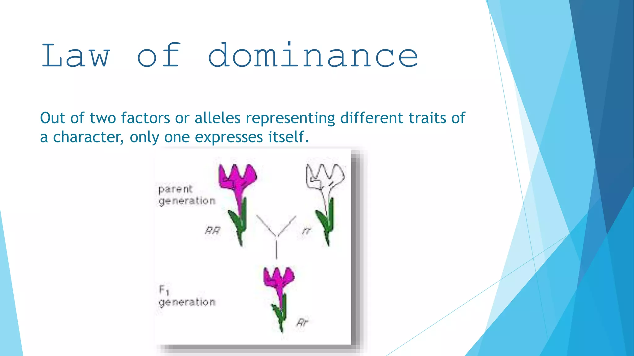 Principle of inheritance | PPTX