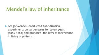 Principle of inheritance | PPTX