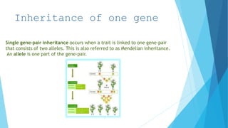 Principle of inheritance | PPTX