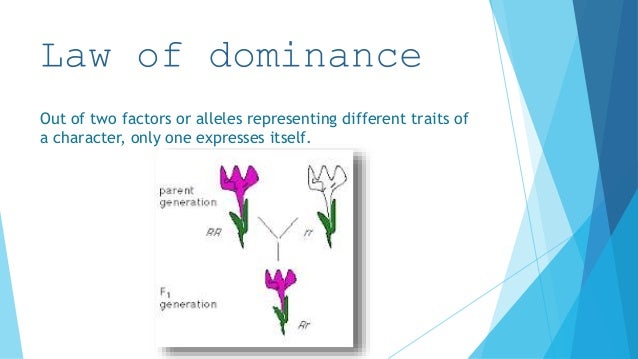 Principle of inheritance