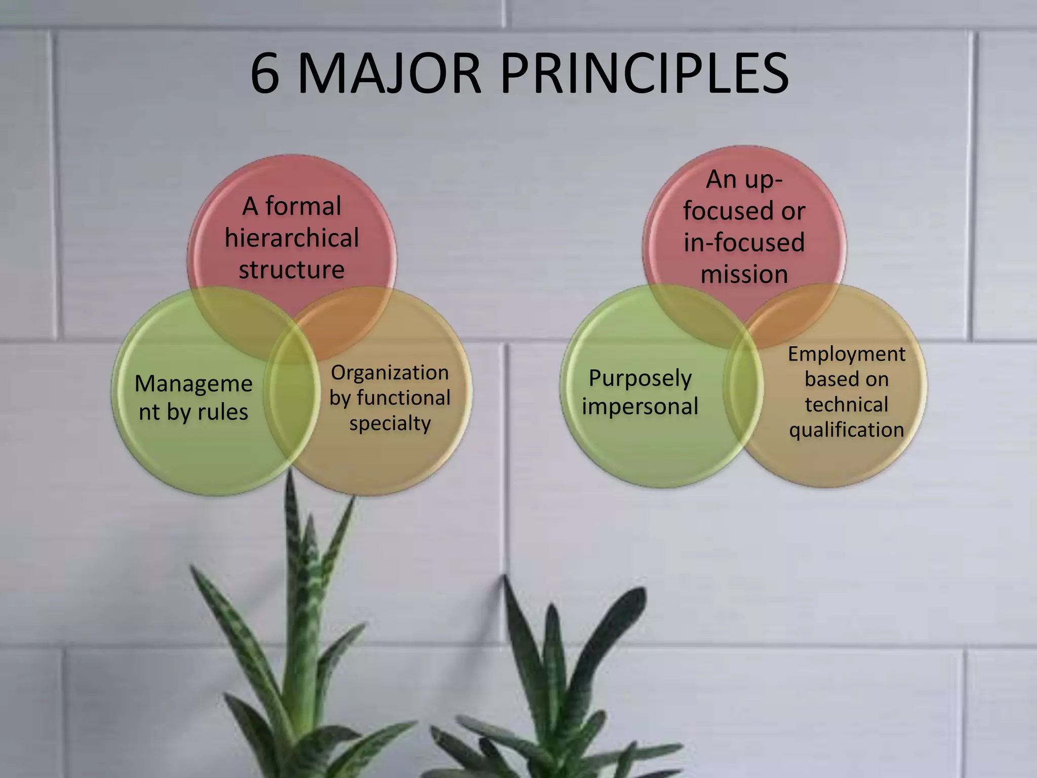 Principle of management | PPTX