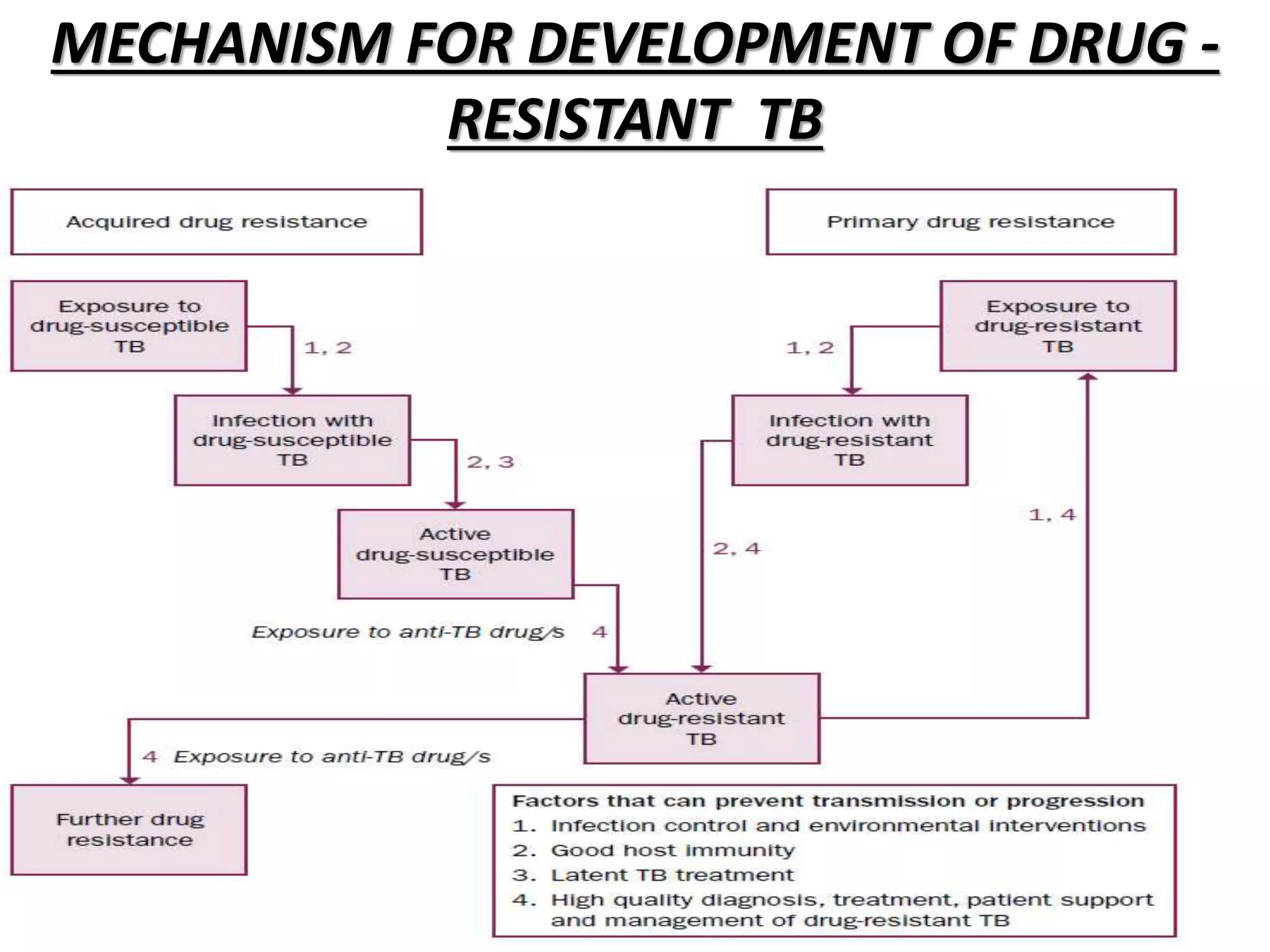 Principle of mdr tb management | PPTX