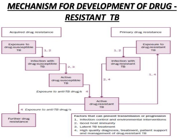 Principle of mdr tb management