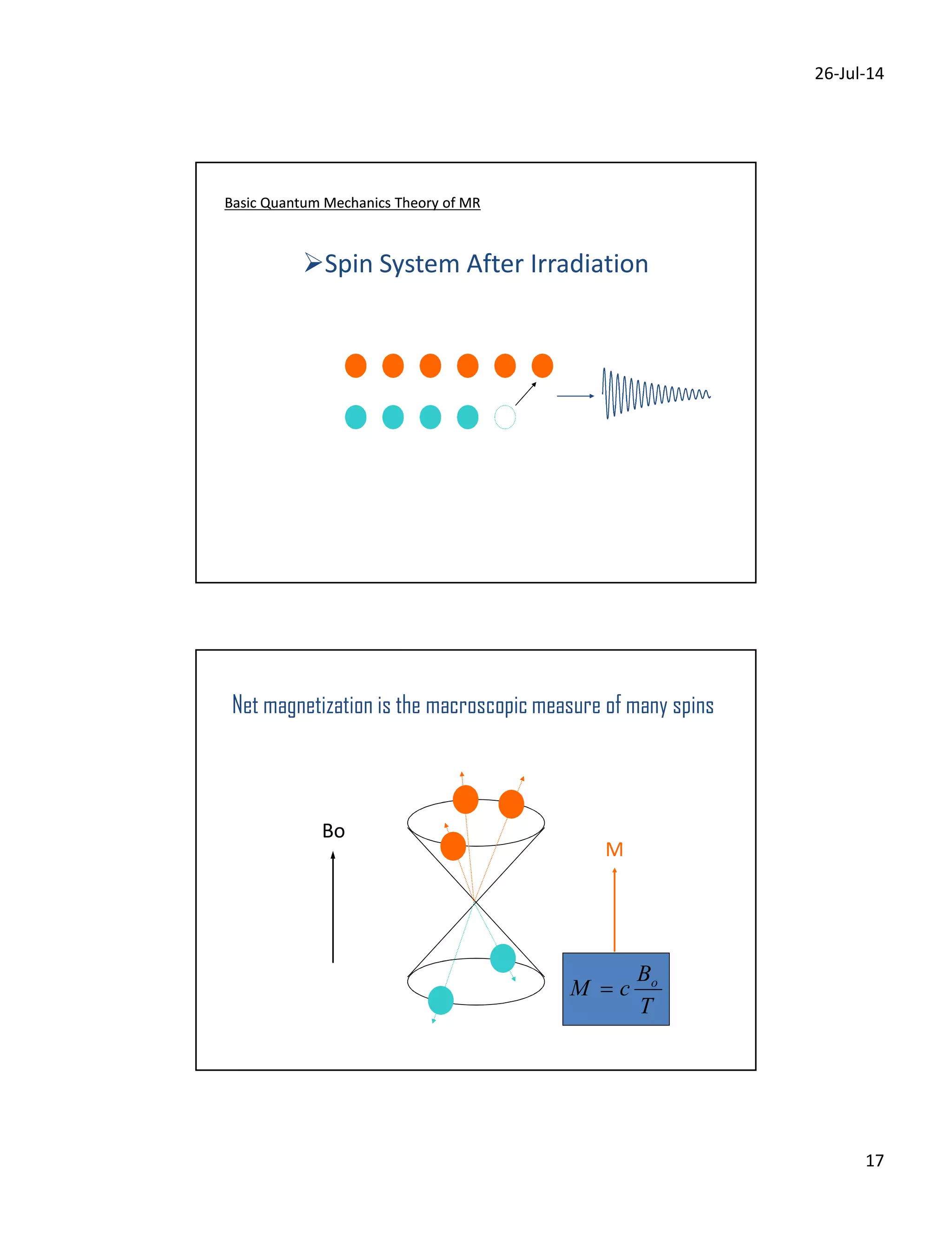 Principle of MRI Physics. Shafiee | PDF