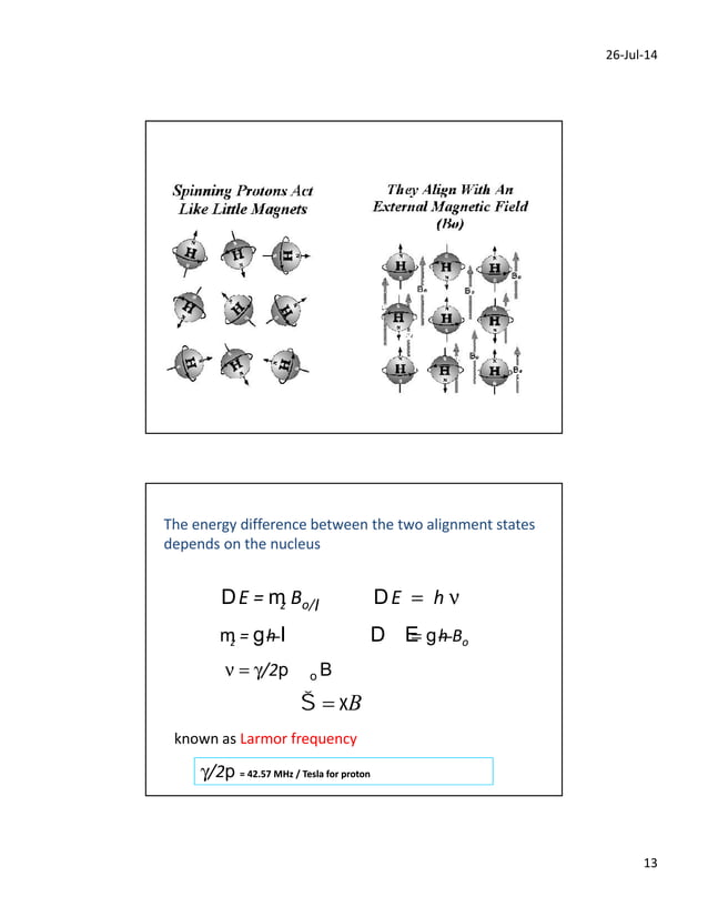 Principle of MRI Physics. Shafiee | PDF