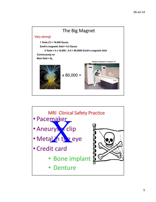 Principle of MRI Physics. Shafiee | PDF
