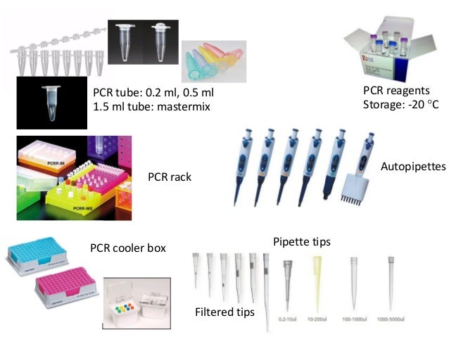 Principle of PCR