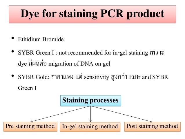 Principle of PCR