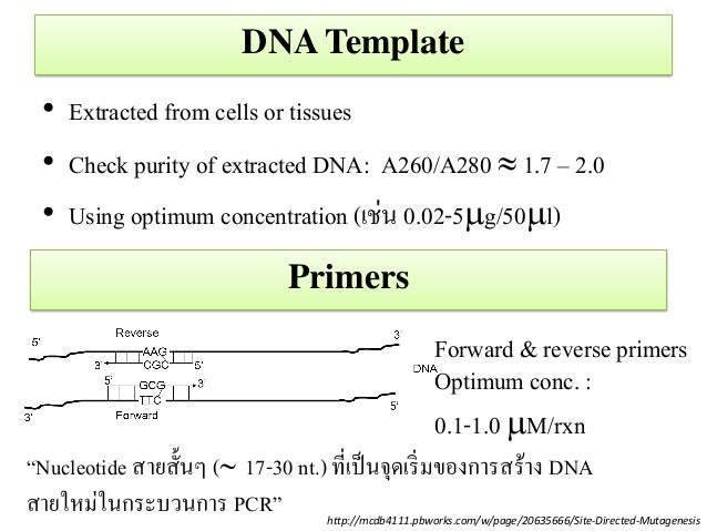 Template Dna For Pcr - prntbl.concejomunicipaldechinu.gov.co
