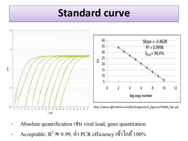 How do i calculate the standard curve for this pcr? - sgasd.x.fc2.com