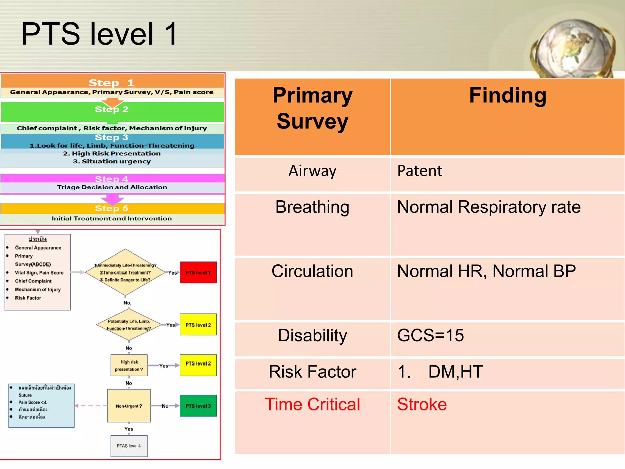 Principle Of Prachinburi Triage Scale(Pts) | PDF