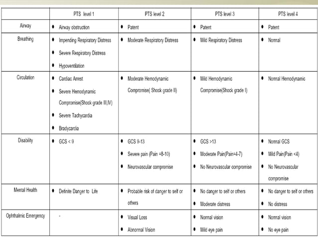 Principle Of Prachinburi Triage Scale(Pts) | PDF