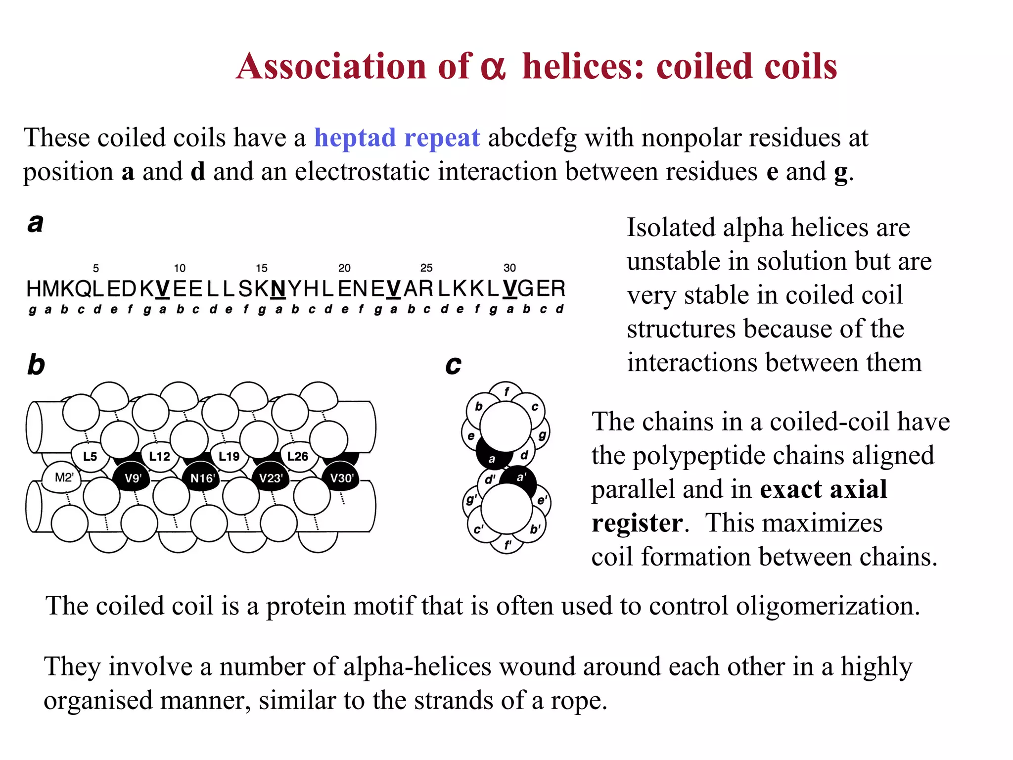 Principle of protein structure and function | PPT