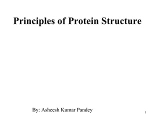 Principle of protein structure and function | PPT
