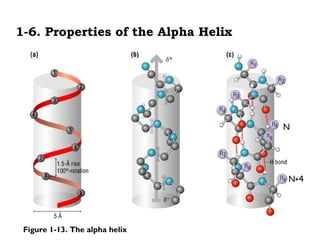 Principle of protein structure and function | PPT
