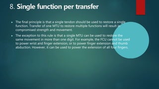 Principle of tendon transfer.pptx | Death, Injury, or Military Conflict ...
