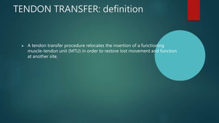 Principle of tendon transfer.pptx | Death, Injury, or Military Conflict ...