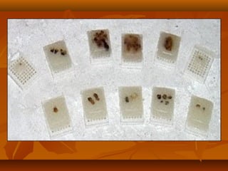 Principle of tissue processing | PPT