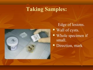 Principle of tissue processing | PPT