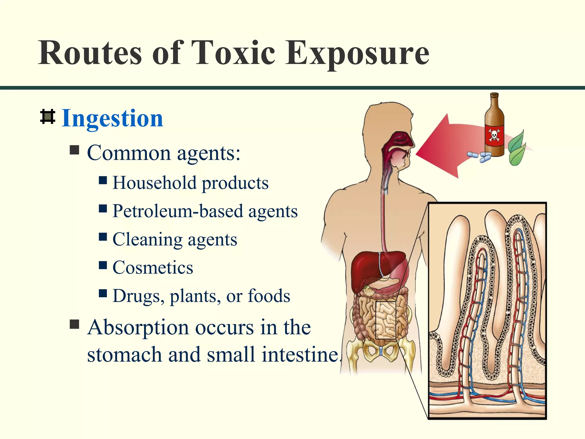 Toxicology and its basic prinicples | PPT | Illegal Drugs, Tobacco ...
