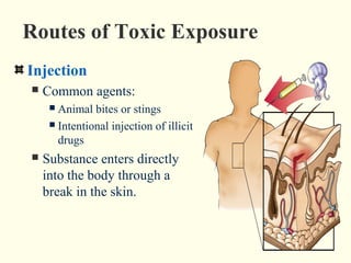 Toxicology and its basic prinicples | PPT | Illegal Drugs, Tobacco ...