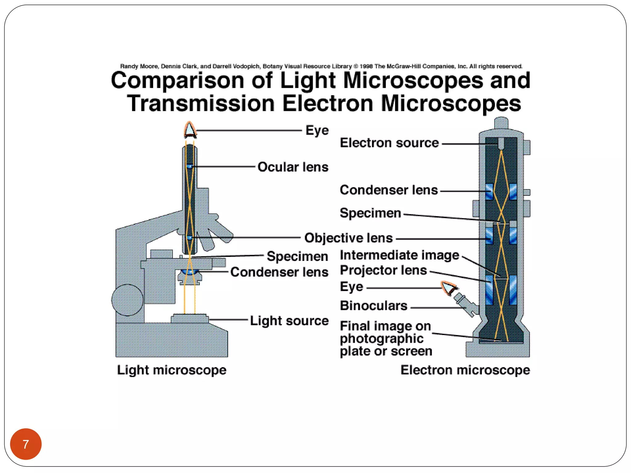 Principle of transmission electron microscope. | PPTX
