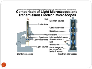 Principle of transmission electron microscope. | PPTX