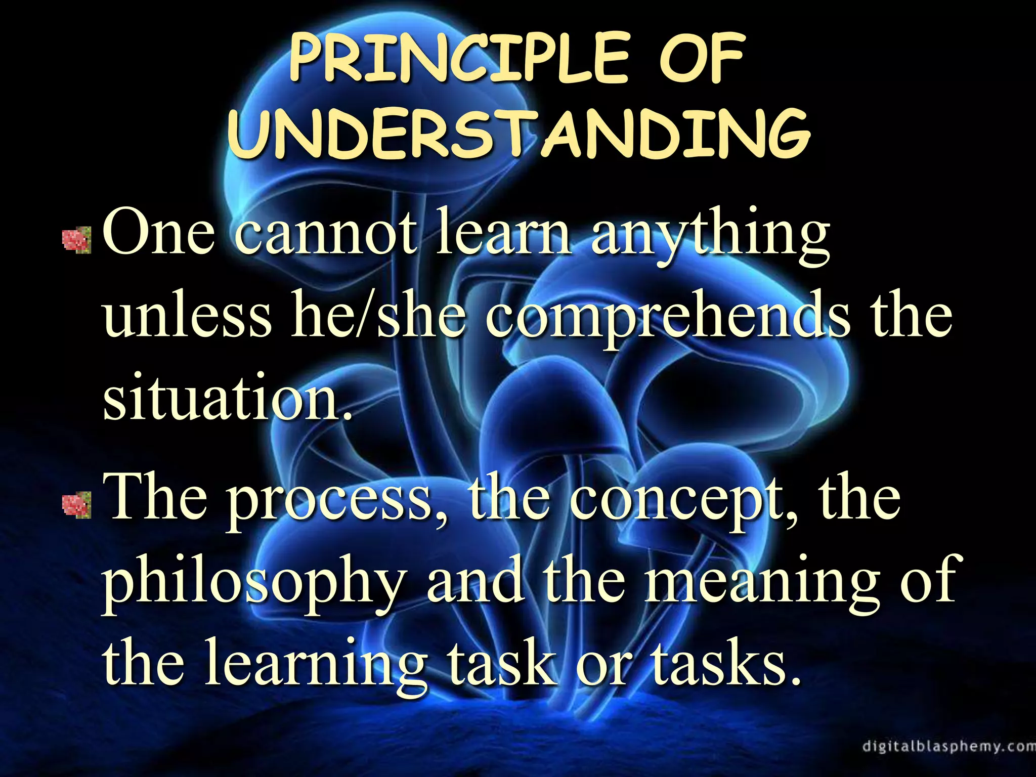 Principle of understanding | PPTX