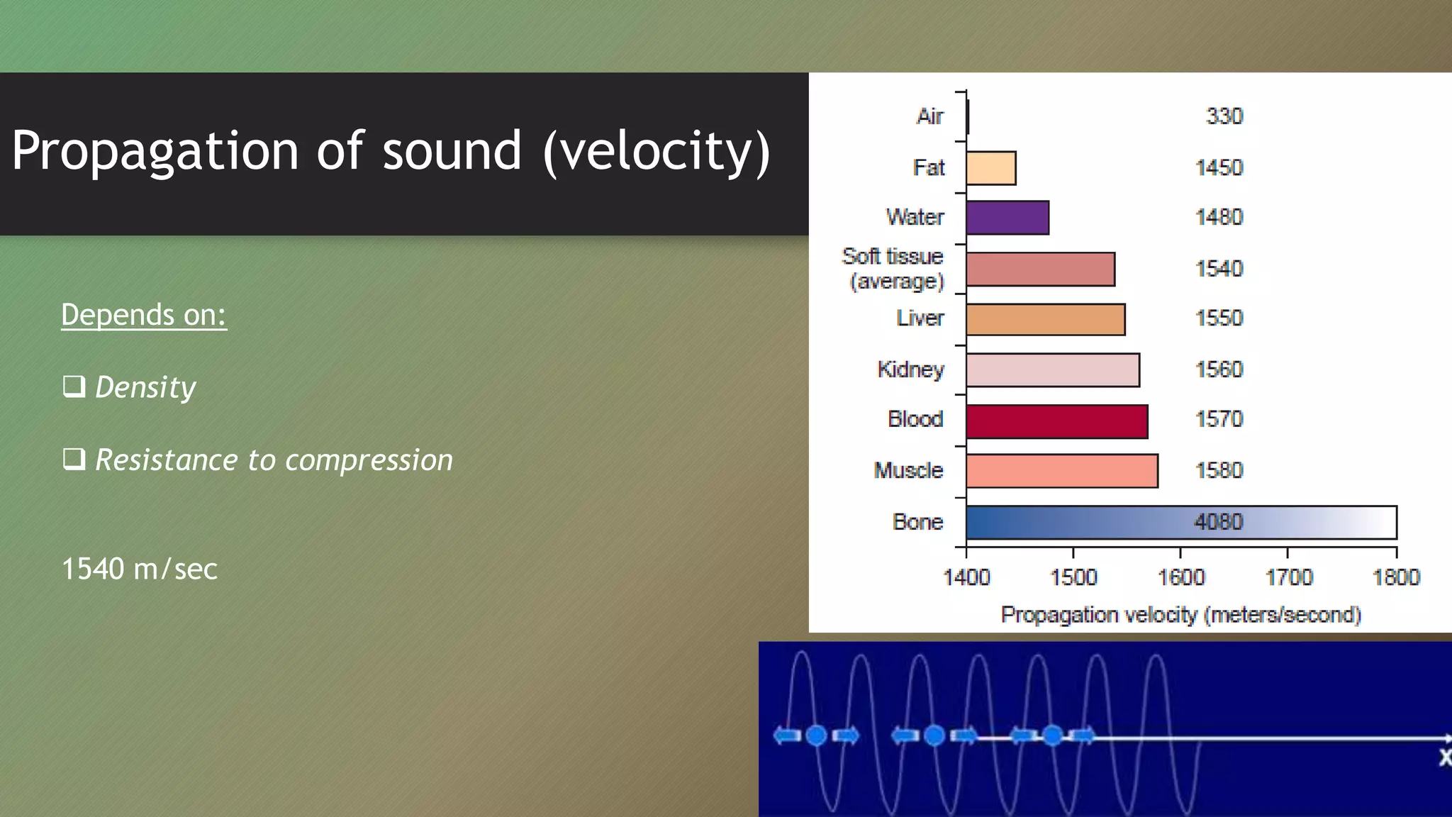 Principle of usg imaging, construction of transducers | PPTX