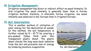 Cultural and Biological Methods of Weed Control in Field Crops.pptx