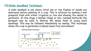 Cultural and Biological Methods of Weed Control in Field Crops.pptx