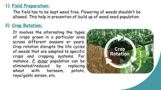 Cultural and Biological Methods of Weed Control in Field Crops.pptx