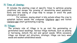 Cultural and Biological Methods of Weed Control in Field Crops.pptx